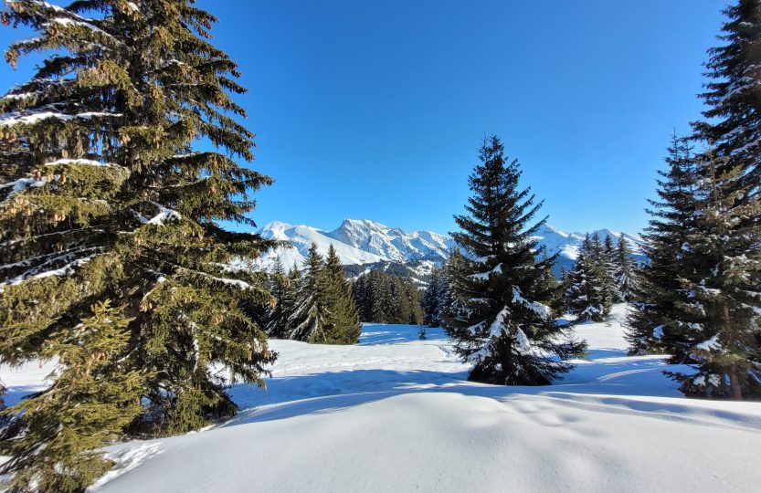 Annecy en hiver : que faire, que voir en famille