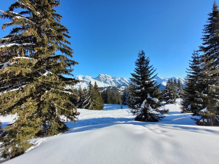 Annecy en hiver : que faire, que voir en famille