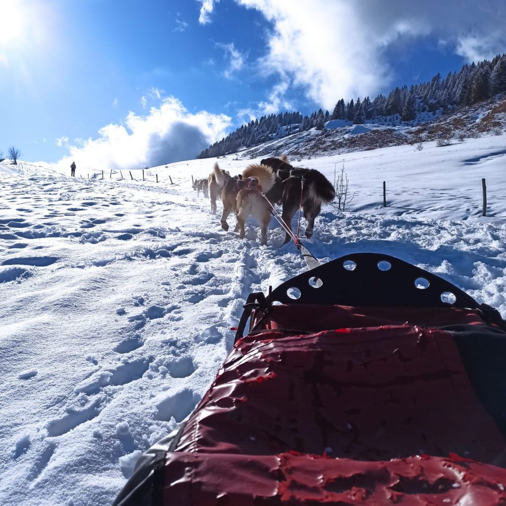 Annecy en hiver : que faire, que voir en famille